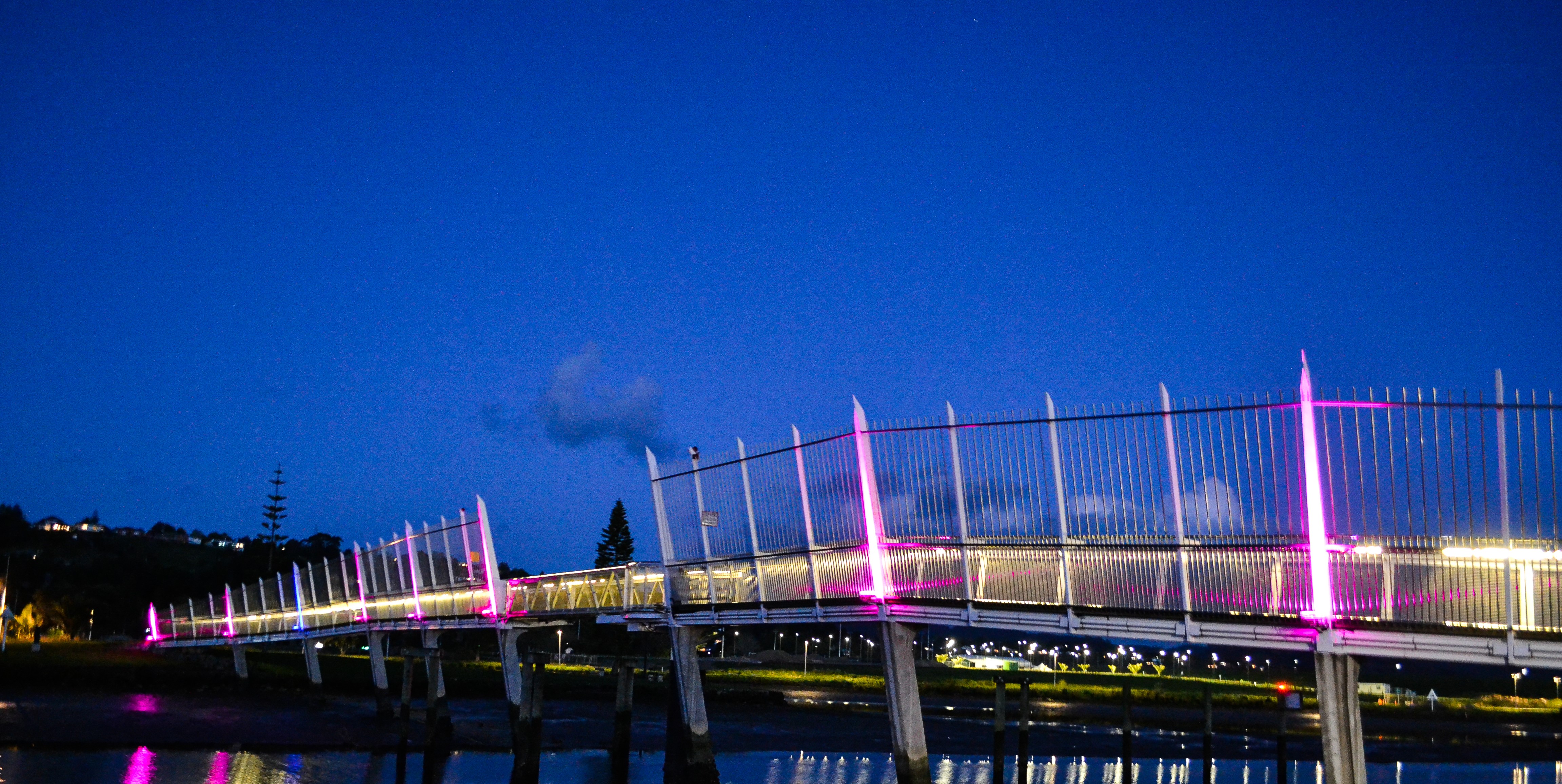 Whangarei Bridges Go Pink For October